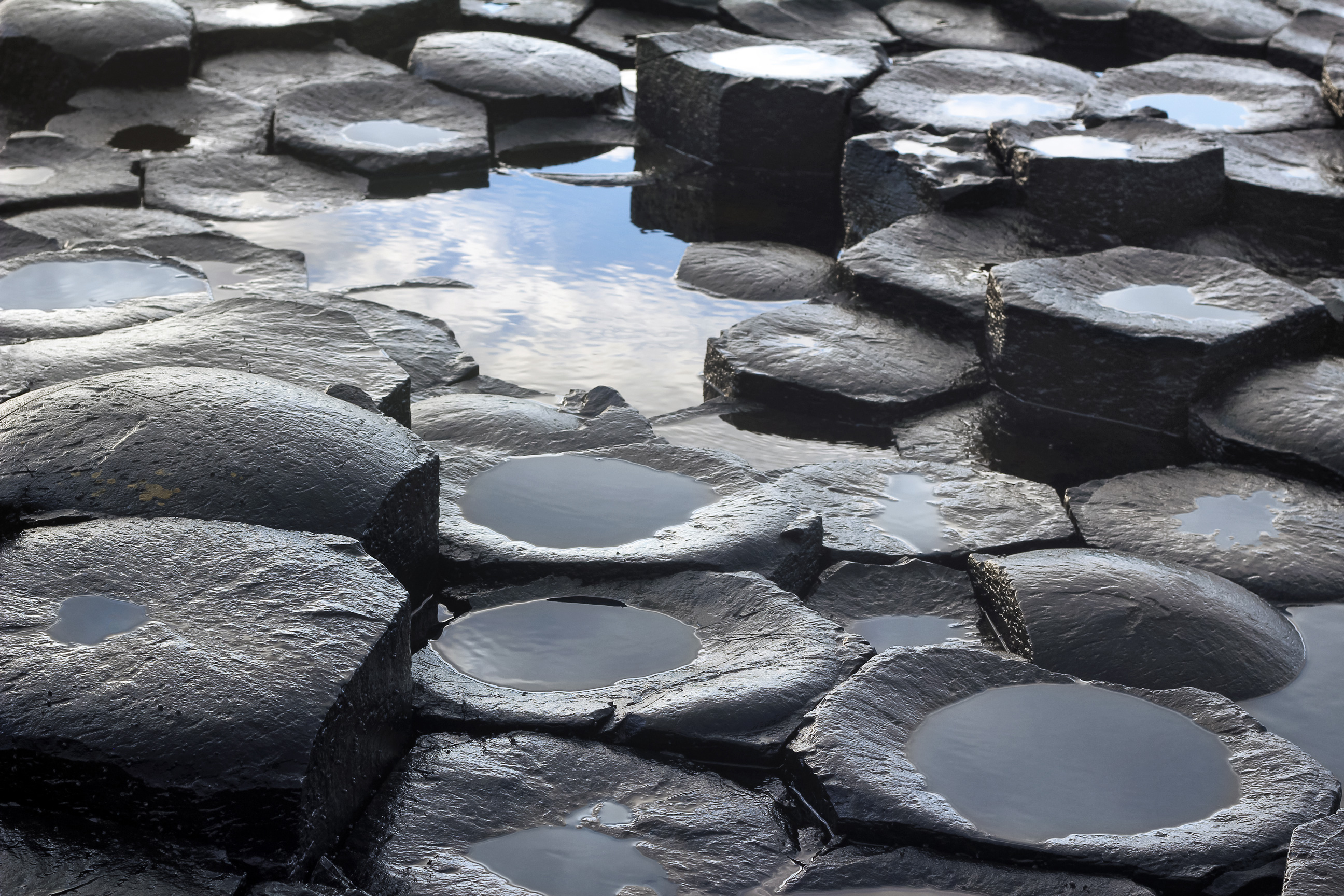 More than 150 Swiss Companies Go Live on the SIX Trade Repository and ...